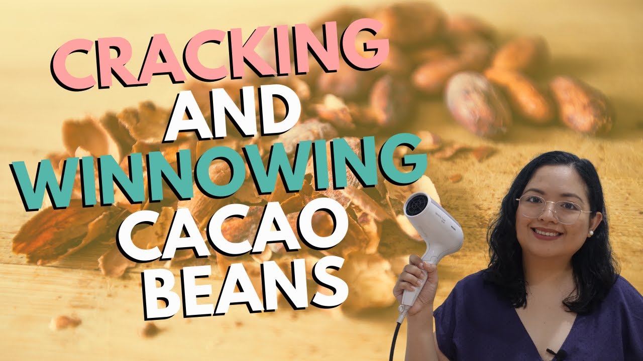 How to Crack and Winnow Cacao Beans | Craft Chocolate Making - YouTube