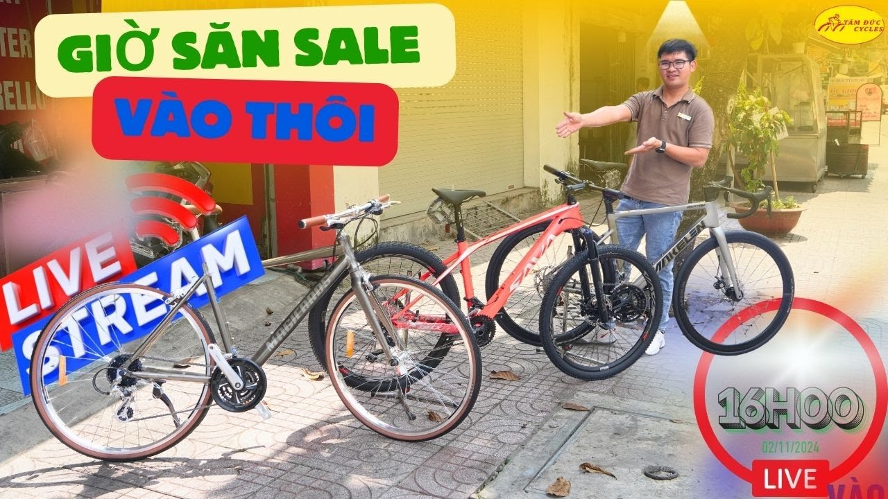 Live stream xe đạp đi phố, xe đạp địa hình và xe đạp tốc độ cao trực ...