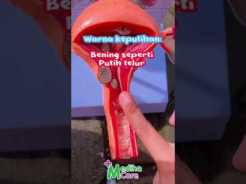 Ciri Masa Subur pada Wanita - Medikacare