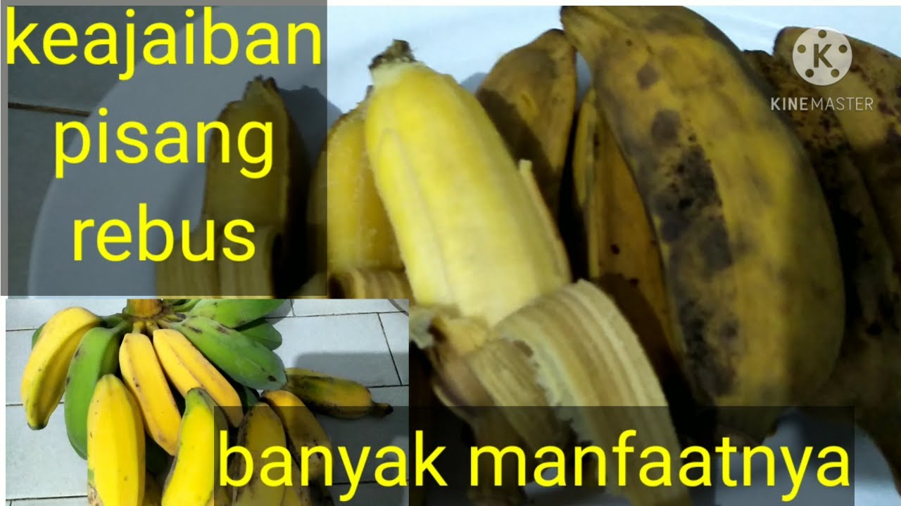 Cara merebus pisang || banyak manfaat pisang rebus,masak simple - YouTube