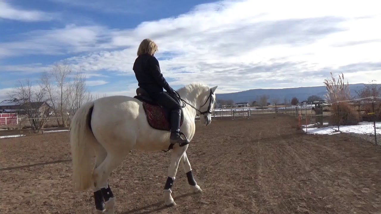 Kate Riding Mimosa - YouTube