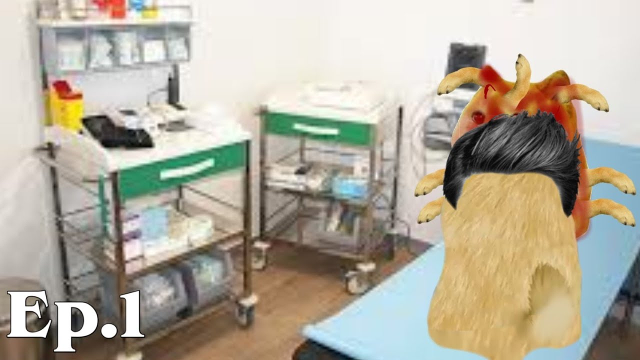 DOGE ADVENTURE: Dogpers EP.1 T1 - YouTube