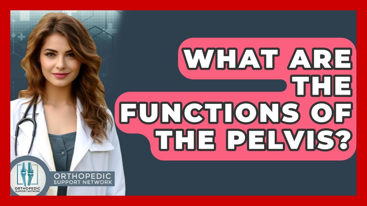 What Are The Functions Of The Pelvis? - Orthopedic Support Network ...