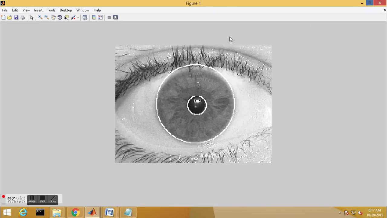 Iris Recognition MATLAB using DCT | +91-9872993883 for query | Log Gabor Filter | Rubber sheet ...