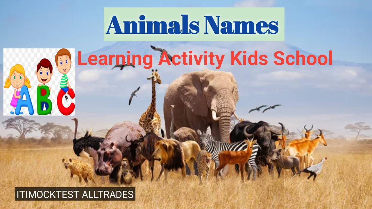 Animals Name For Kids School in English | Ant, Buffalo, Cat, Dog... Etc ...
