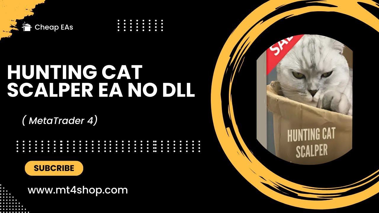 Hunting Cat Scalper EA NO DLL | Installation Instructions - YouTube