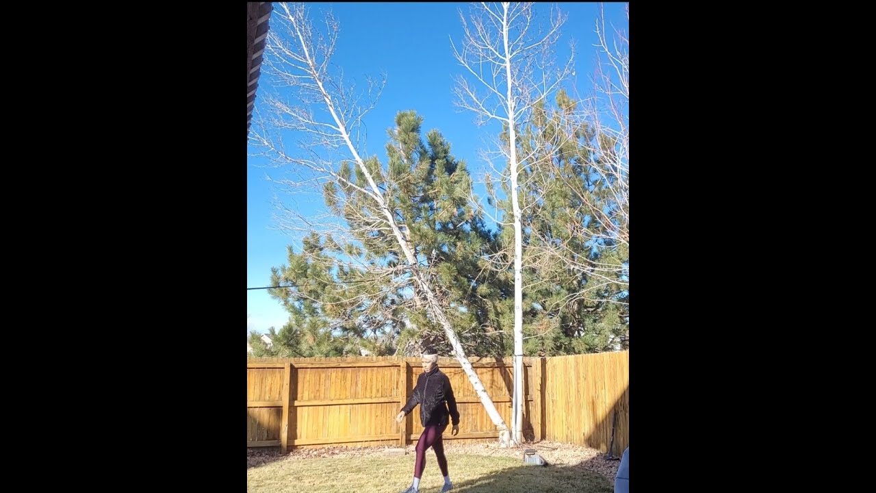 DIY | Tree Cutting | Saving $500 | Yard Work Maintenance + Cleaning ...