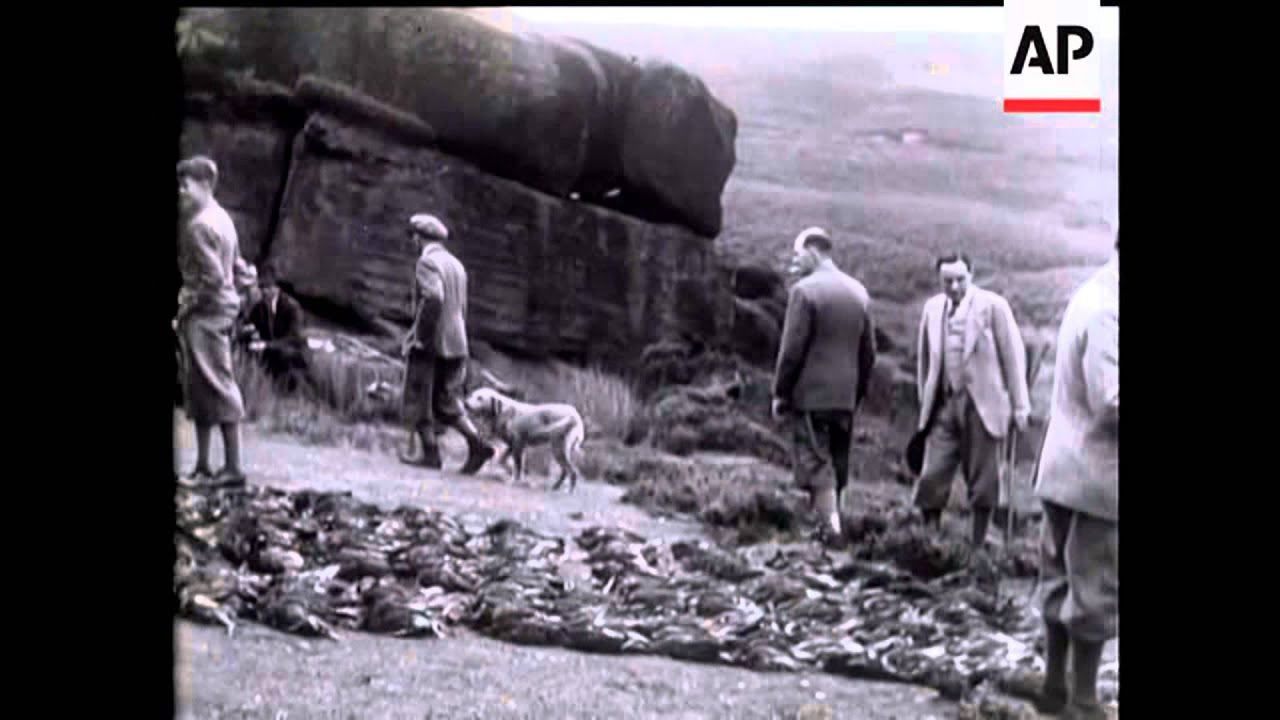 The Glorious 12th - Grouse shooting in 1936 - YouTube
