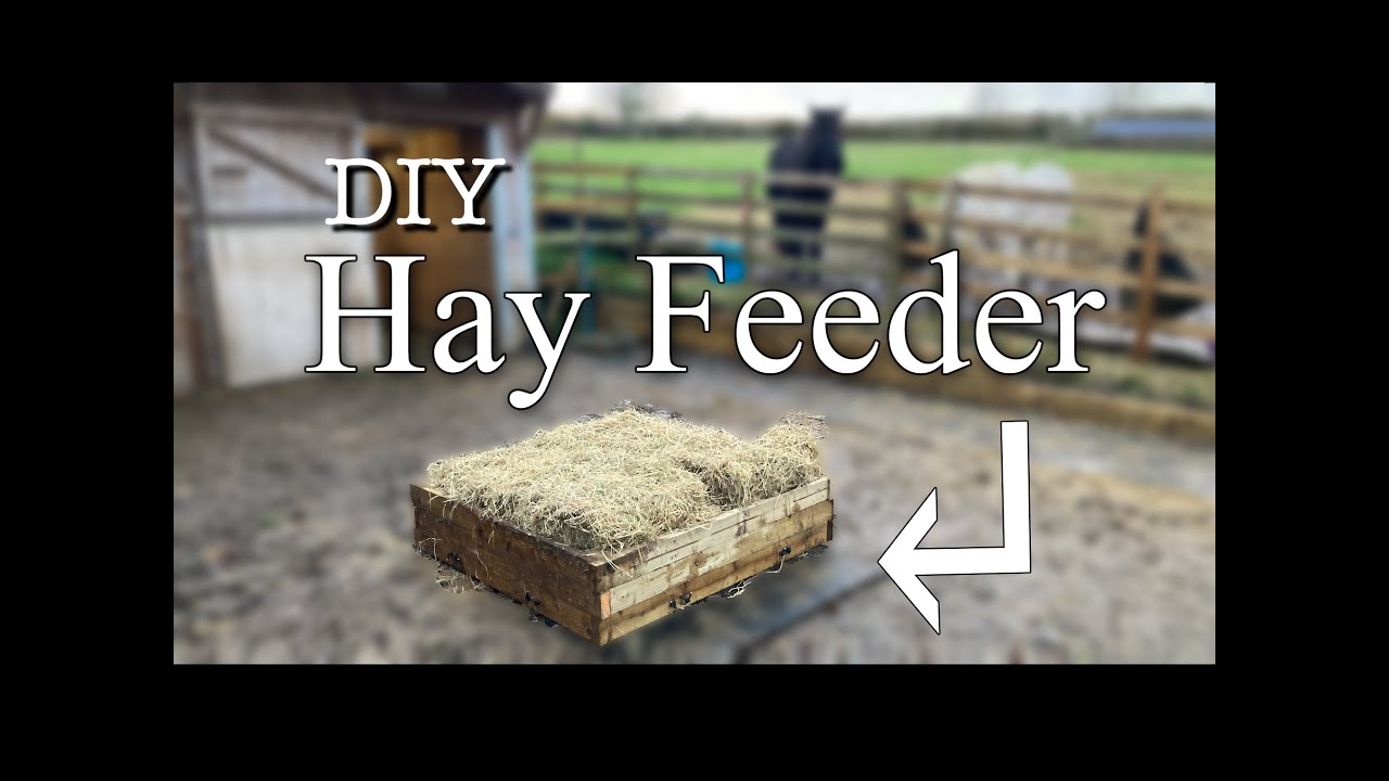DIY HAY FEEDER! - YouTube
