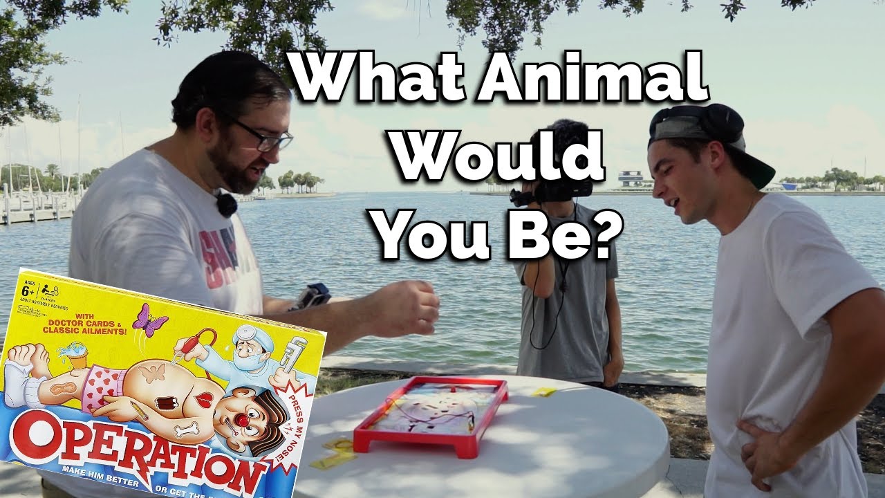 Animorphs, Chicken Nuggs, and Earworms - Board Games with Strangers E04 ...