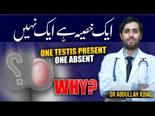 Undescended Testicle Testis Operation Undescended Testes 49 Off