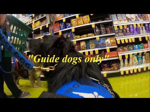 The sign at the new grocery store says "Guide dogs only" - # ...