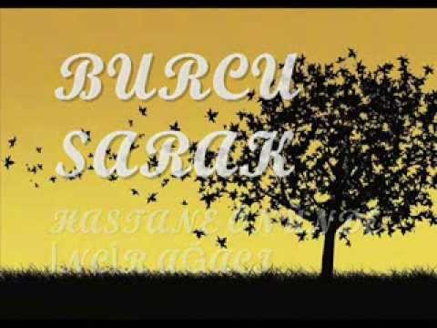 Burcu Sarak- Hastane Önünde İncir Ağacı