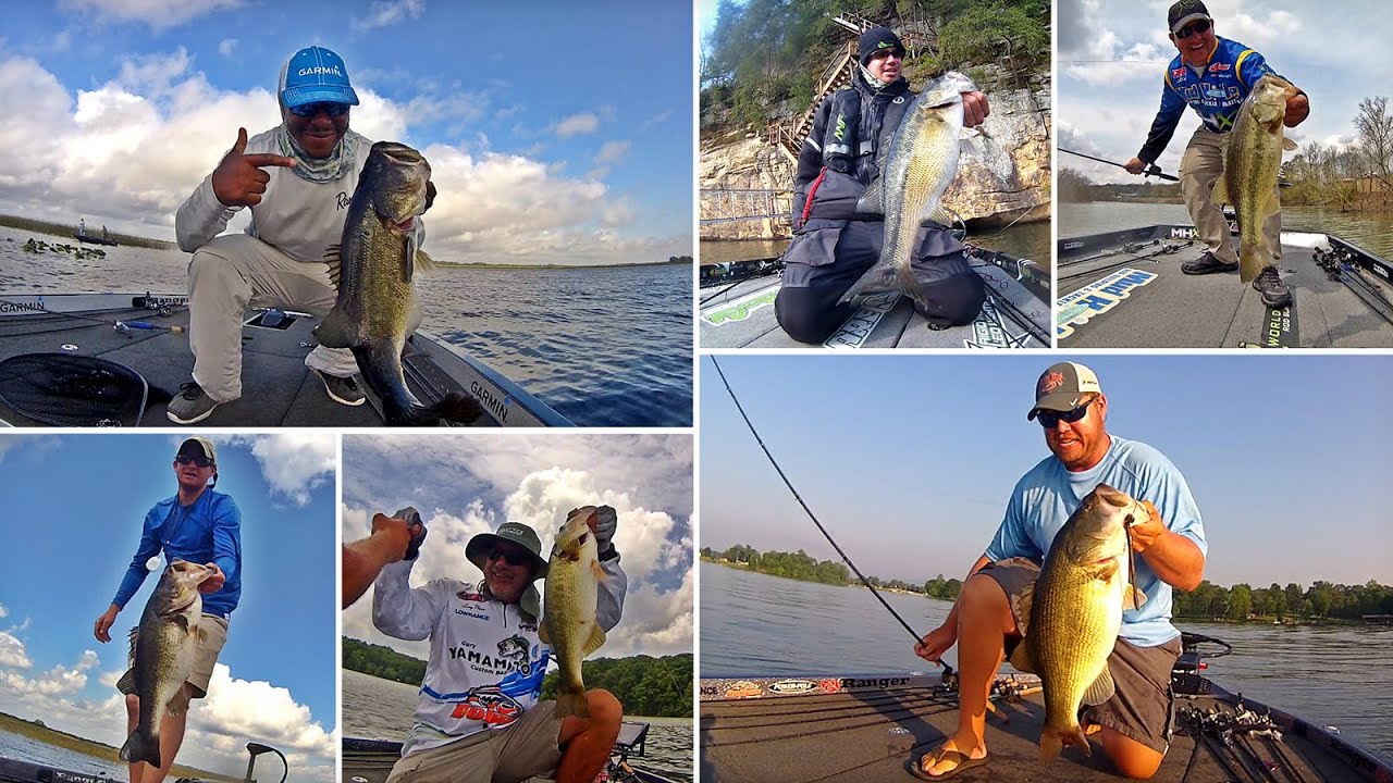 2015 Walmart FLW Tour | Season Highlights - YouTube