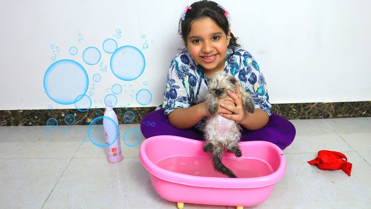 شفا أول مرة تغسل القطة ! ! First bath for kitten - YouTube