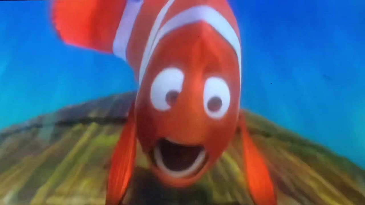 Finding Nemo righteous in Portuguese - YouTube