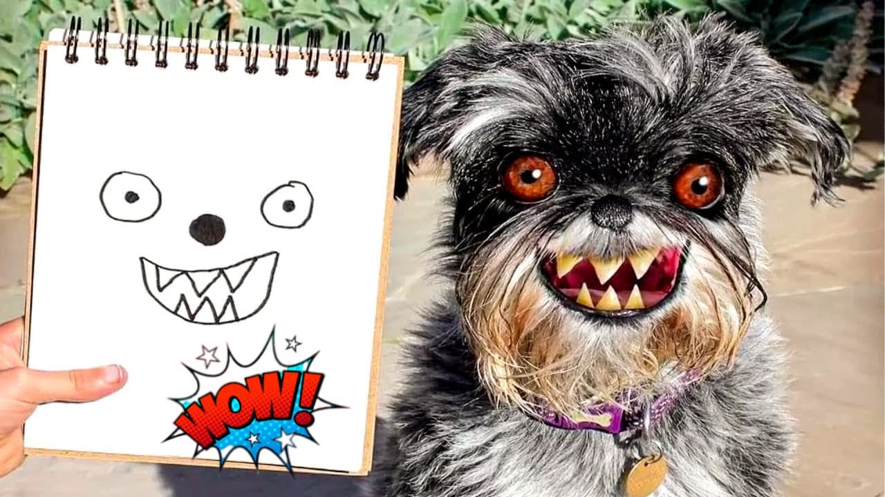 The dog is crying -Funny Cats And Dogs Videos That Will Make You Laugh ...