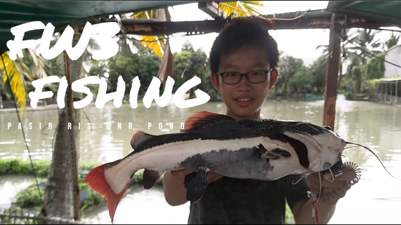 Pasir Ris Farmway 3 fishing (quickie) - YouTube