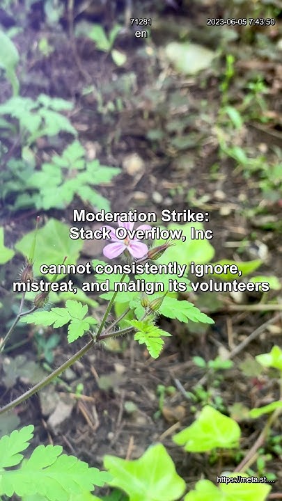 Moderation strike at Stack Exchange: Stack Overflow, Inc. - YouTube