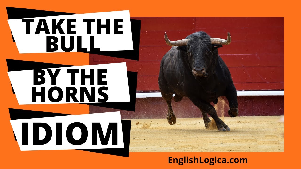 Take The Bull By The Horns Idiom Common English Idioms Business take-the-bull-by-the-horns-idiom-common-english-idioms-business