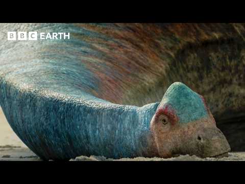 Injured Lusotitan vs Torvosaurus | Walking with Dinosaurs | BBC Earth Science