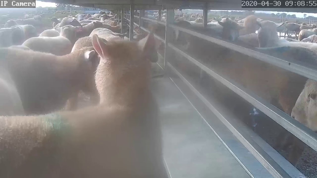 Induction Feed Control System - Four days after installation - YouTube