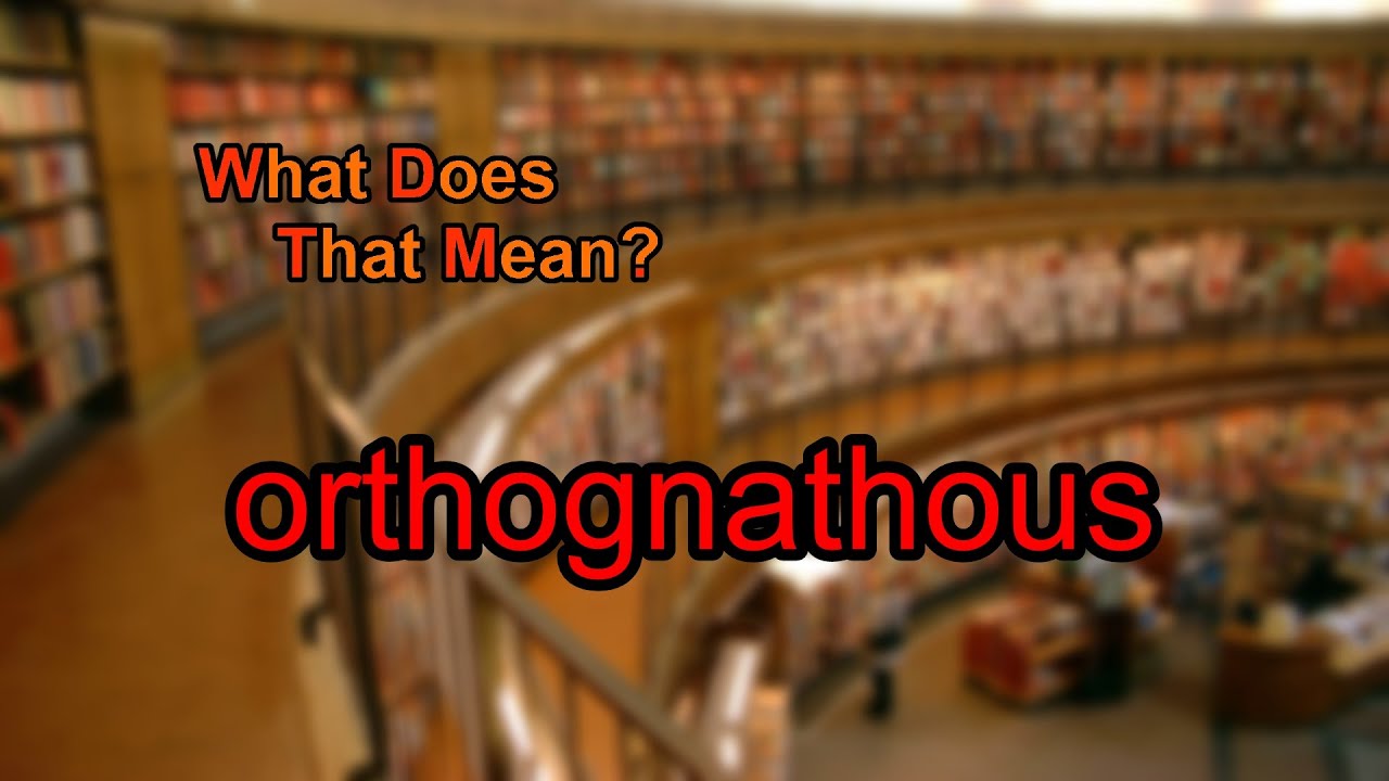 What does orthognathous mean? - YouTube