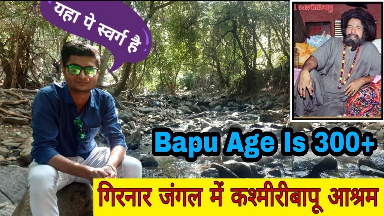 Girnar Forest |Kashmiribapu Ashram |Beauty Of Nature |Gir Forest ...