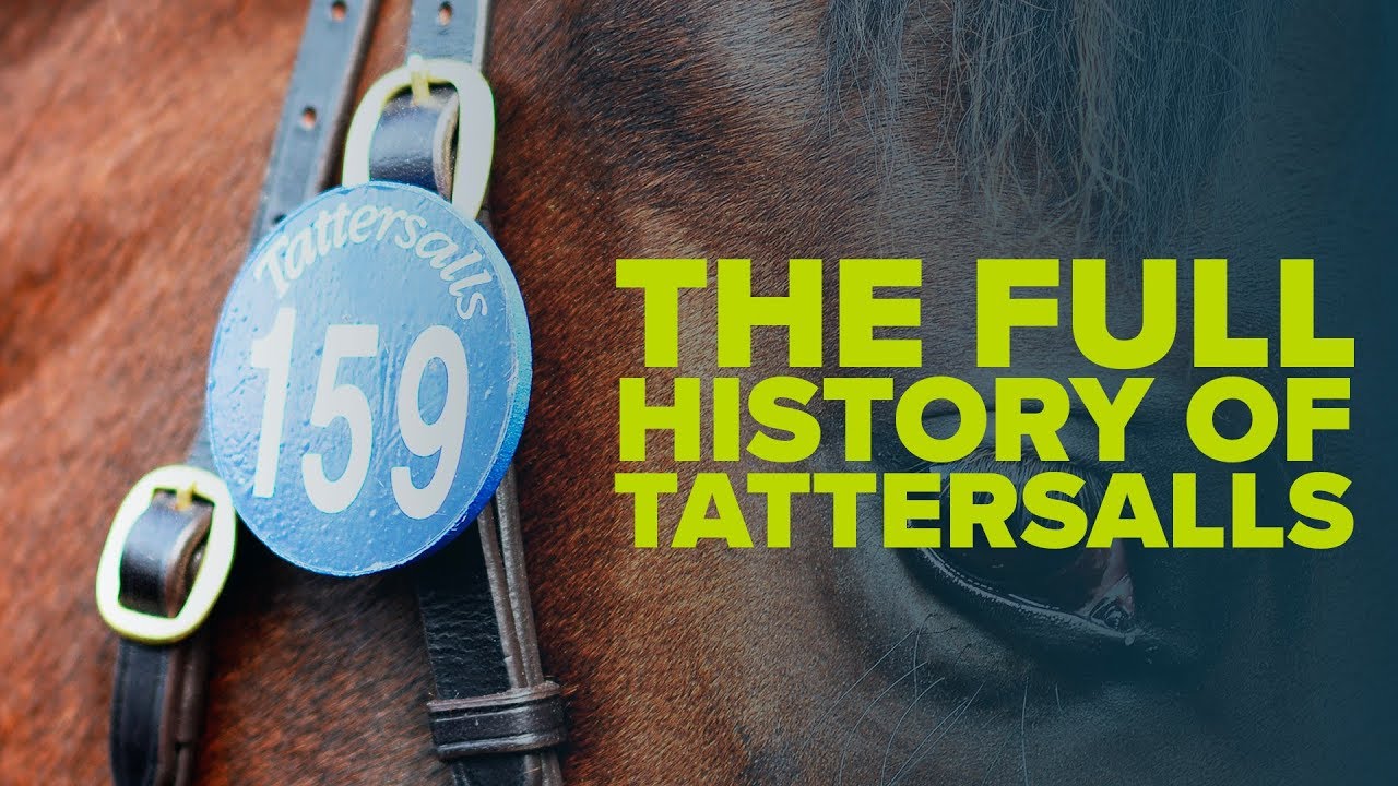 EVER WANTED TO BUY A HORSE? | History of Tattersalls - YouTube