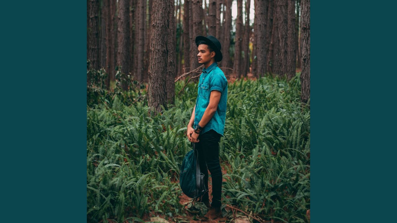 Scraping Tree Bark at Night Time - YouTube