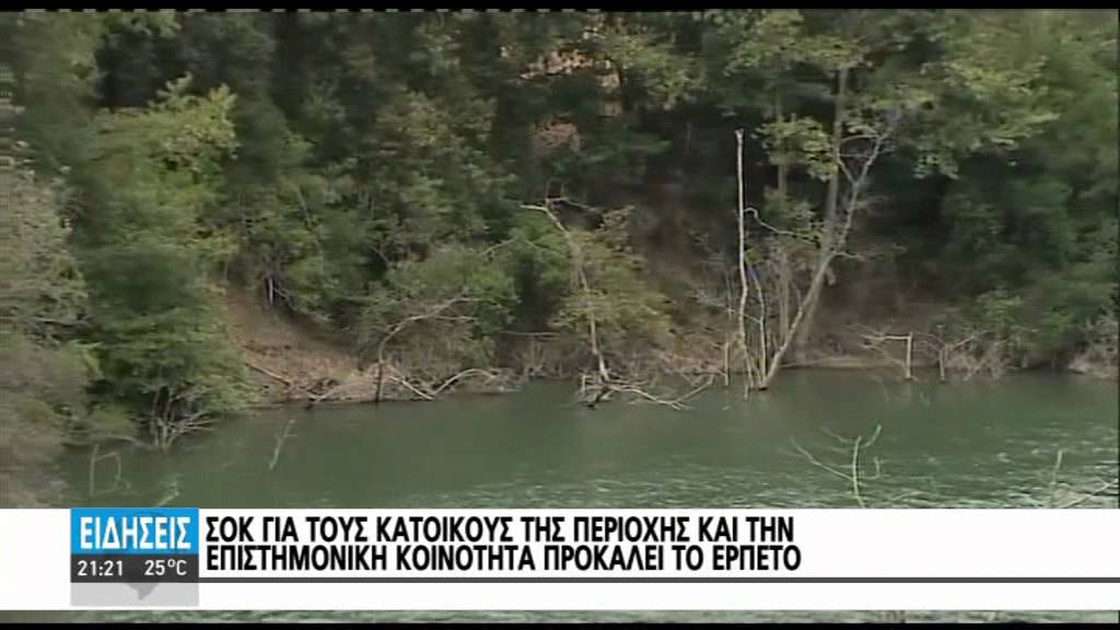 ΝΤΕΛΙΡΙΟ ΣΤΗΝ ΚΡΗΤΗ ΓΙΑ ΤΟΝ ΚΡΟΚΟΔΕΙΛΟ ΤΟΥ ΡΕΘΥΜΝΟΥ - YouTube