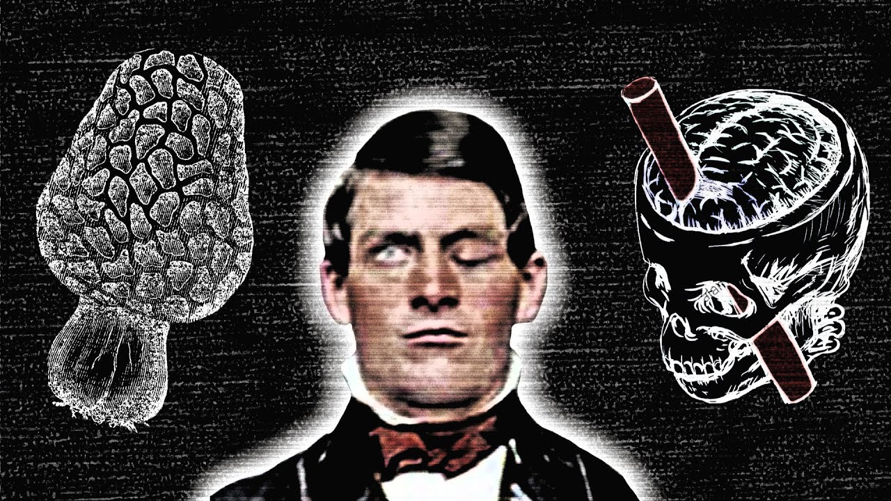 Iron Bar pierces through his SKULL, spits his own BRAIN, fungus grows ...