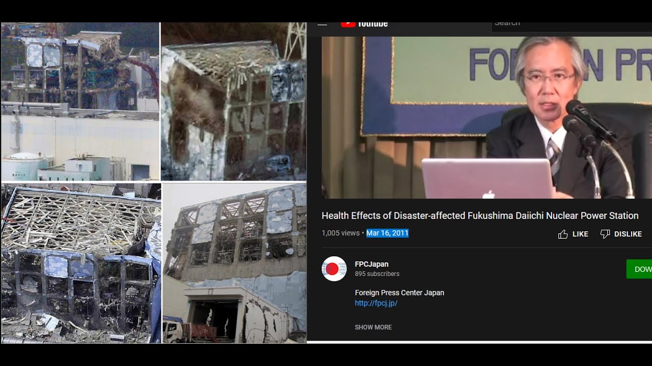 Audit: Health Effects of Disaster-affected Fukushima Daiichi Nuclear ...