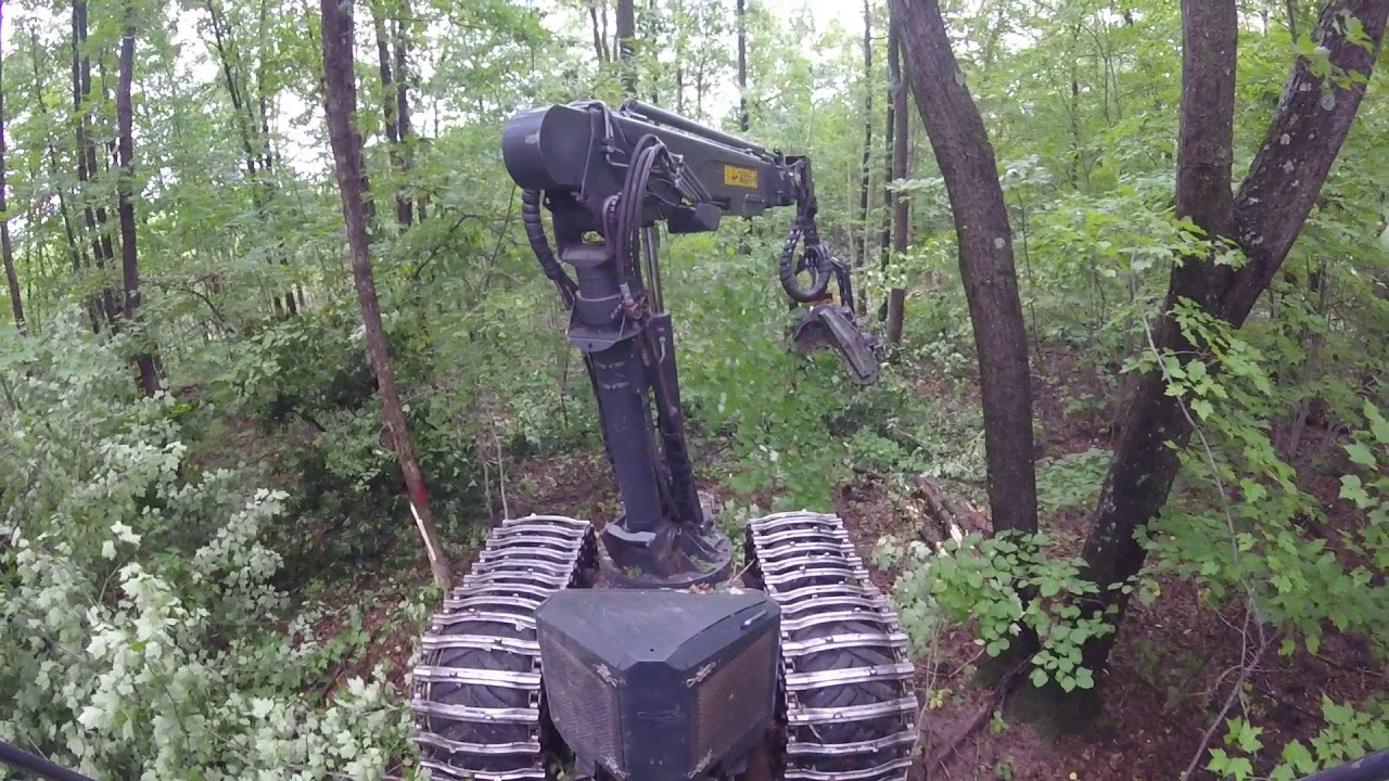 2010 Ponsse Ergo 8w C4 H7 harvesting hardwood pulp - YouTube