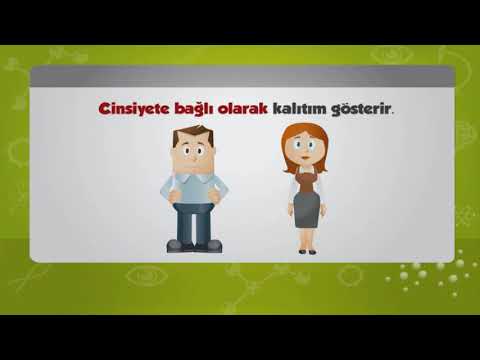 Hemofili Hastalığı