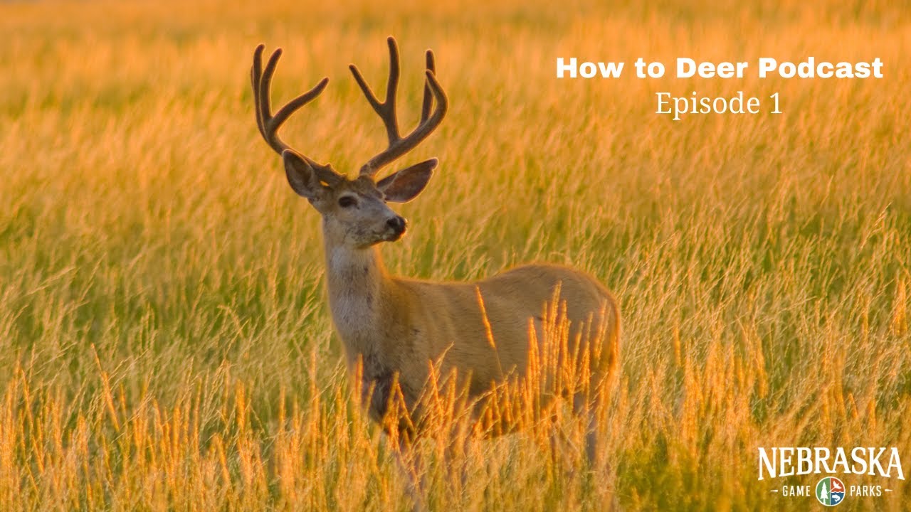 Episode 1: How to Deer - YouTube