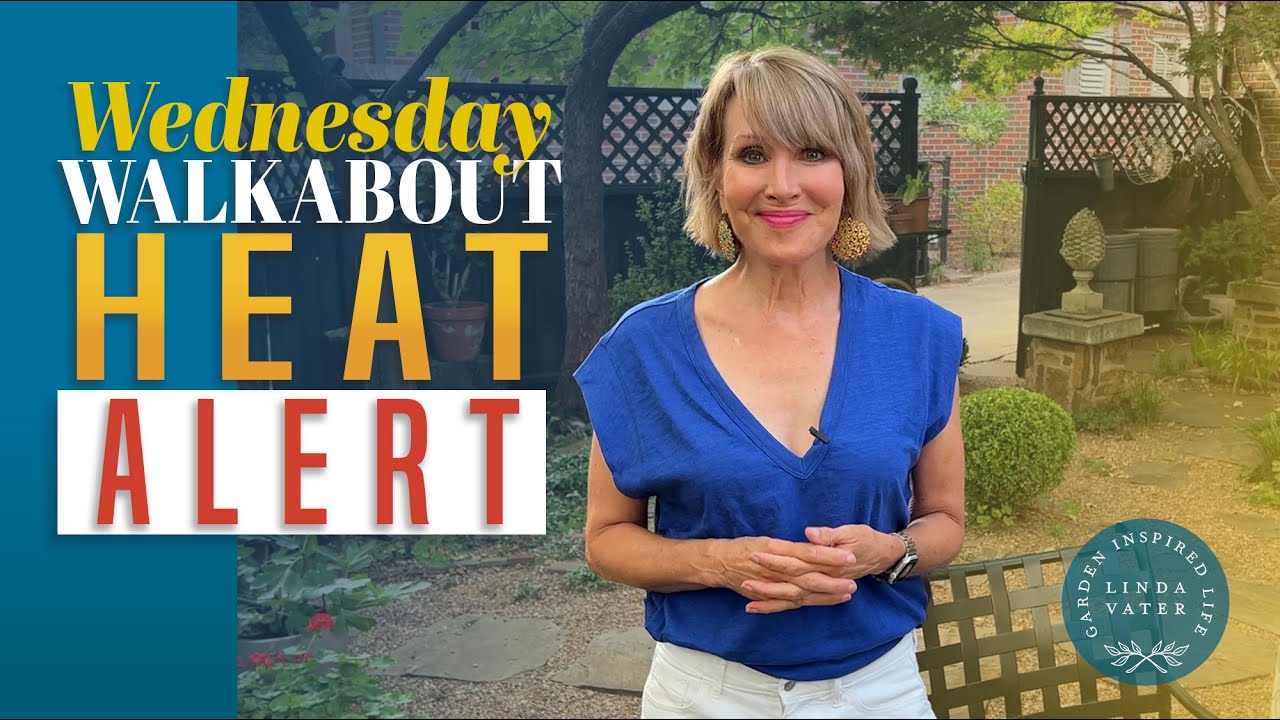 HOT HOT HOT!!! How to Beat the Heat in the Garden: Wednesday Walkabout ...