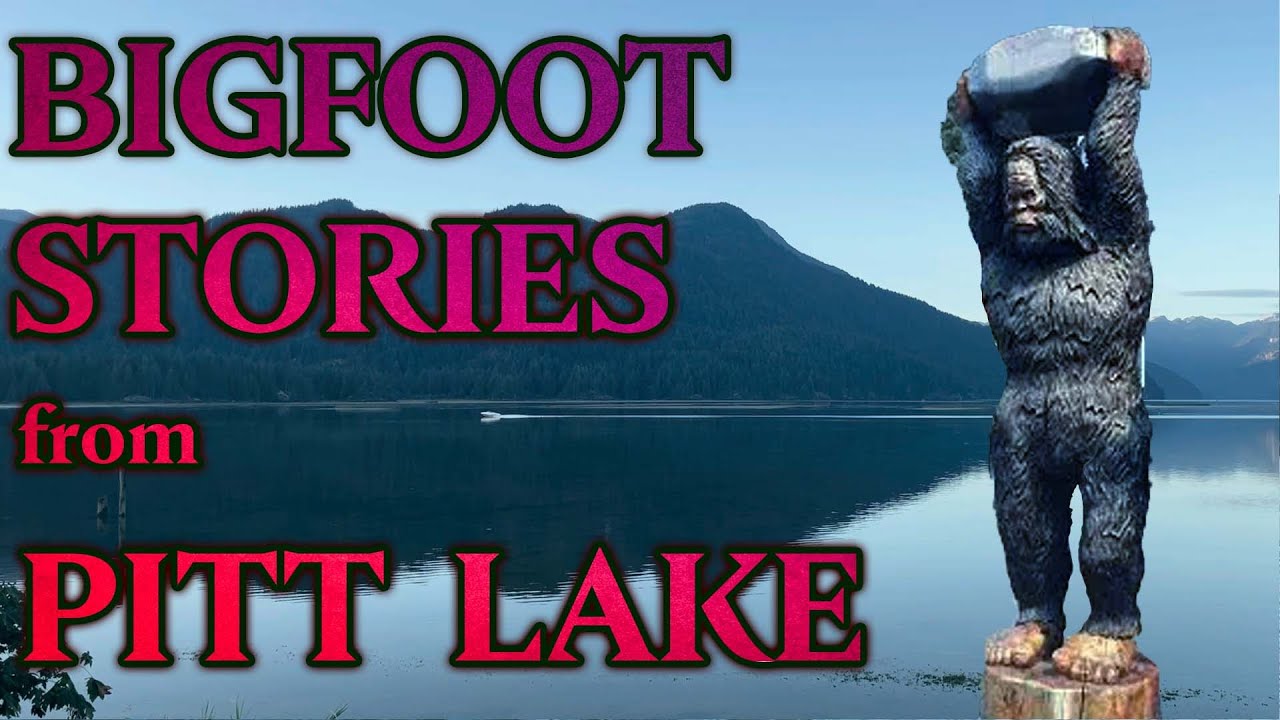 Classic Canadian Sasquatch Stories - Episode 9: Pitt Lake - YouTube