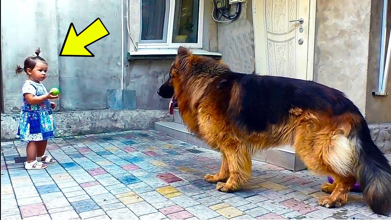 Girl Rescued Unloved Dog From Market. Just Watch What The Dog Does Next ...