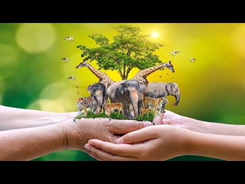 Class 10 chapter 2 geography - YouTube