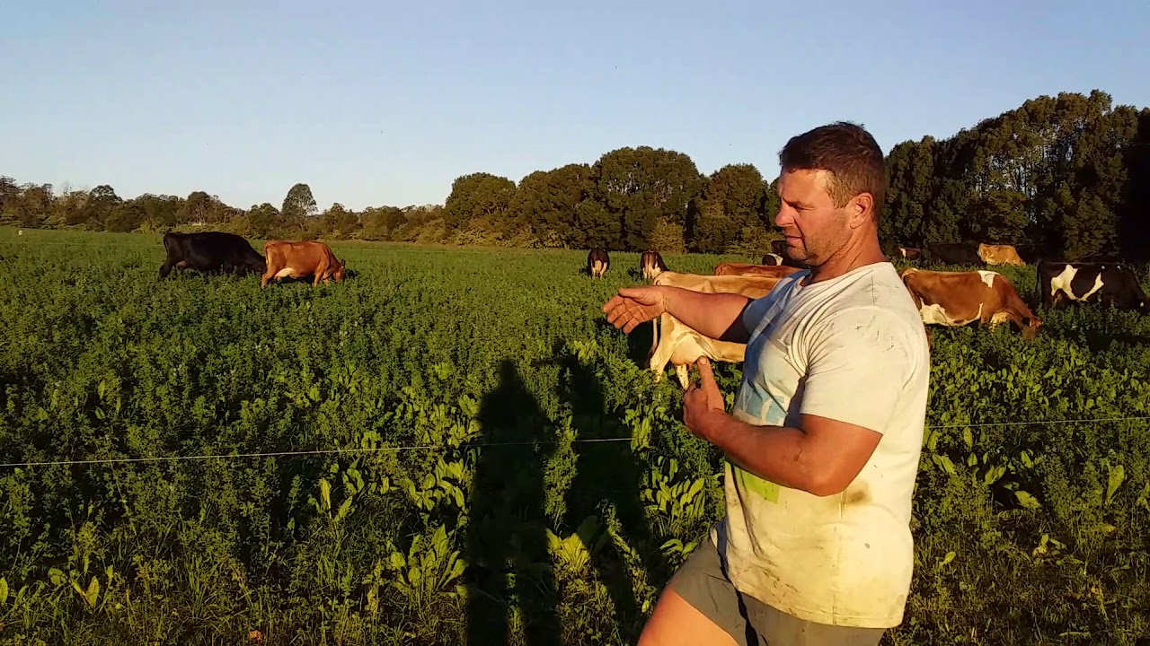 Sustainable grazing Part 2 - YouTube