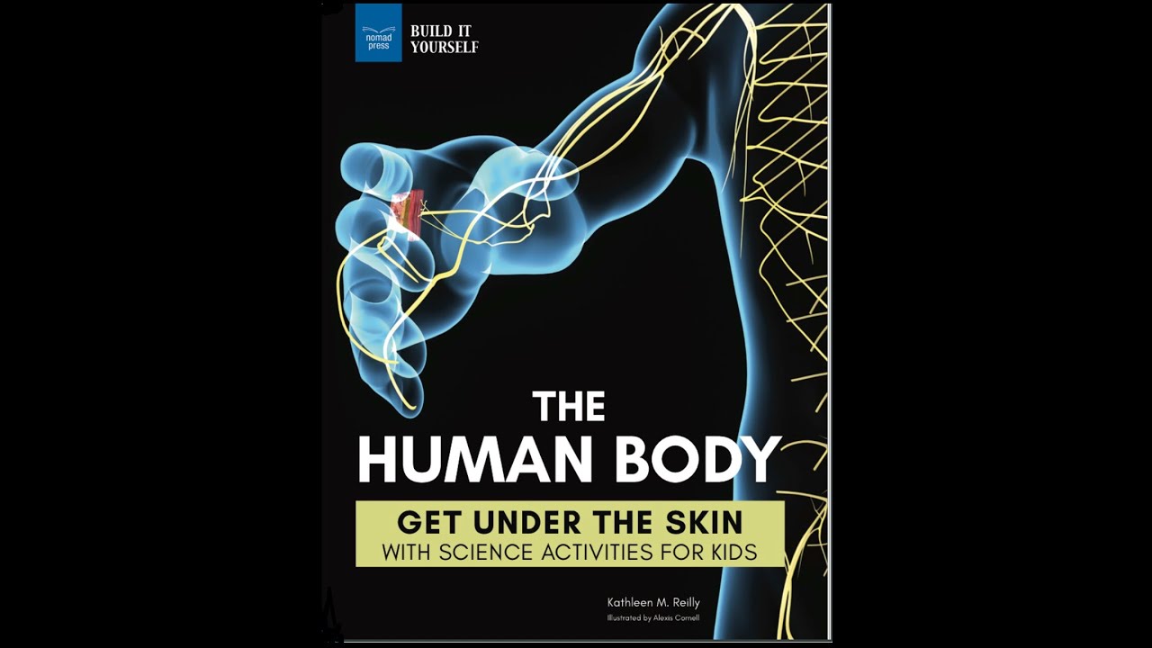 the Human Body Under the Skin Part 1 - YouTube