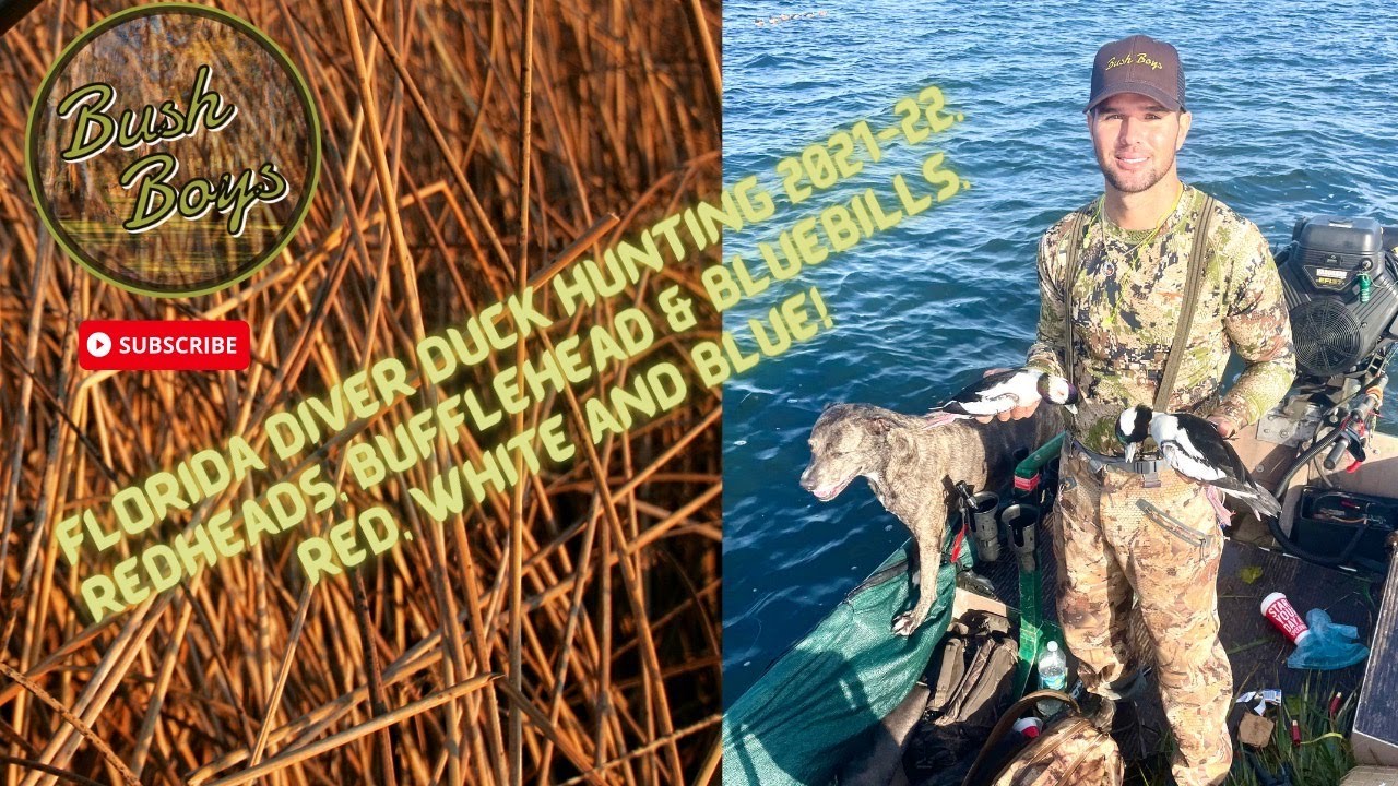 Florida Diver Duck Hunting 2021-22 Highlights - YouTube