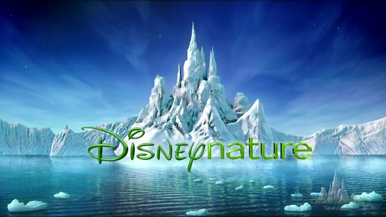Disney Nature Channel | November 2015 | WDW Resort TV - YouTube