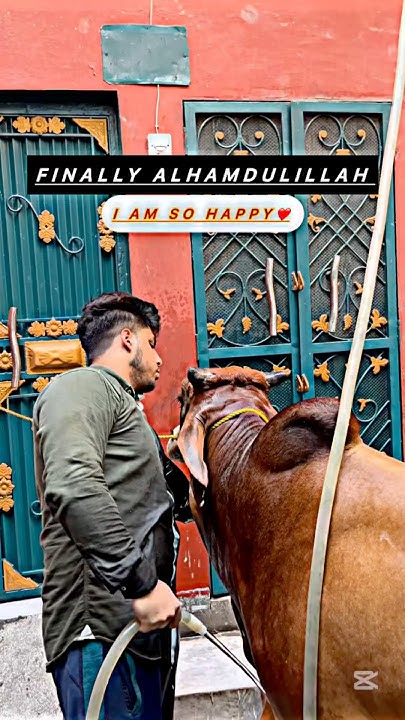 ||Mini Vlog|| Finally Alhamdulillah I Am So Happy🥹 ️ #youtubeshorts #minivlog #dailyroutine ...