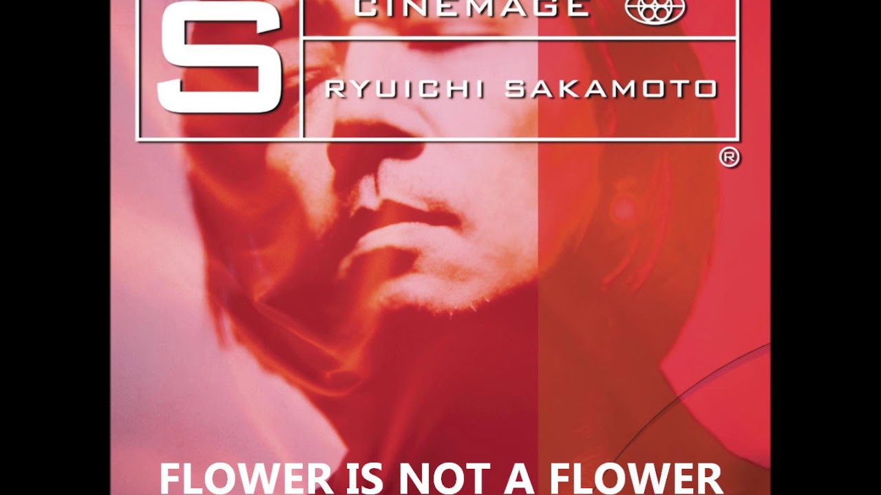 화비화 flower is not a flower sakamoto ruichi - YouTube