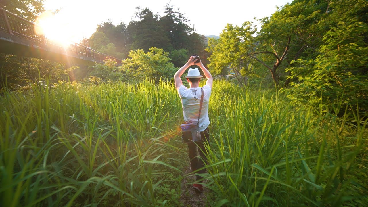 VERDWAALD MIDDEN IN JAPAN?! - YouTube