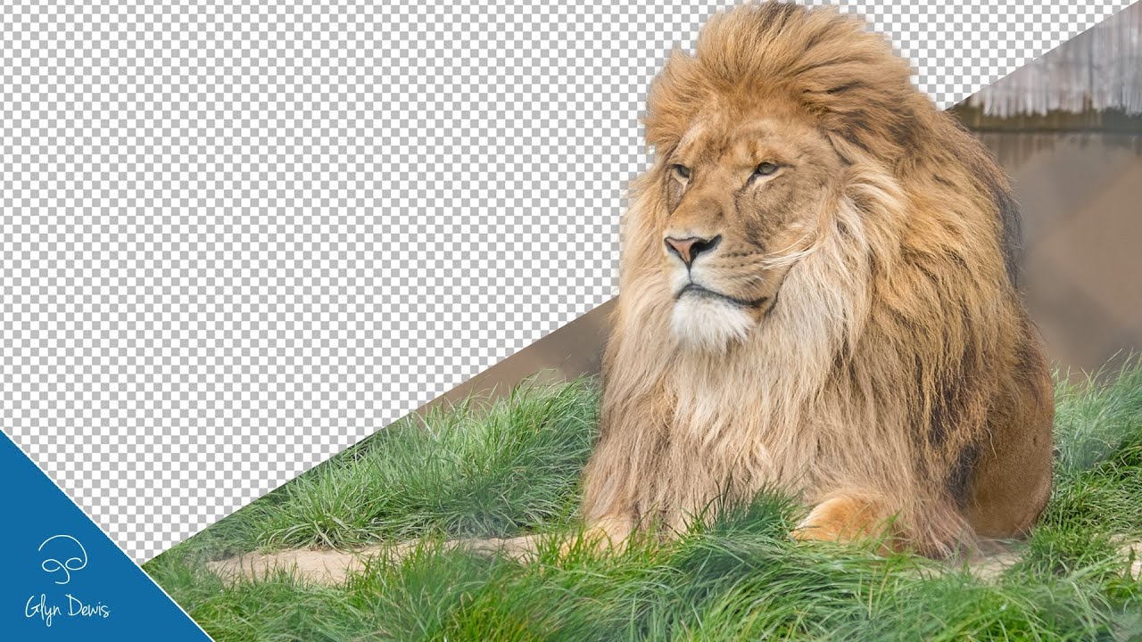 How to Fake Compositing Grass: PHOTOSHOP TUTORIAL #53 - YouTube