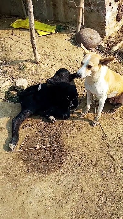 December 23, 2024 - YouTube