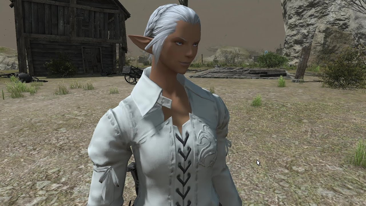 Final Fantasy XIV ShB ep.88 - (Role Quests Finale) The Tale Of The ...